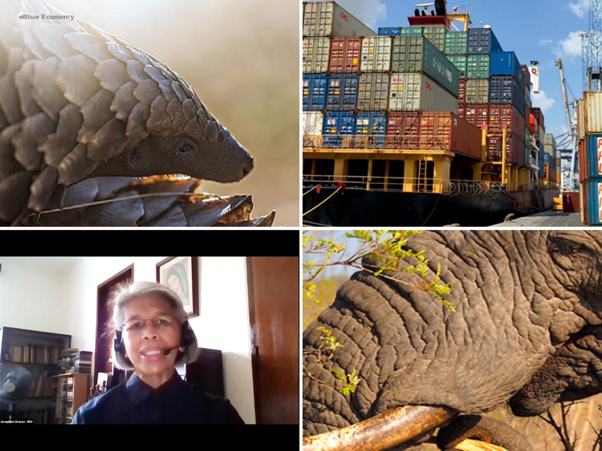 IMO : FAL Convention at heart of IMO response to illegal wildlife trade ...